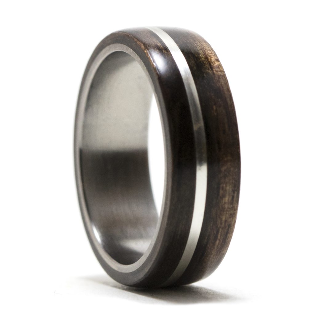 Titanium Ring With Tiger Eye Inlay - Warren Rings